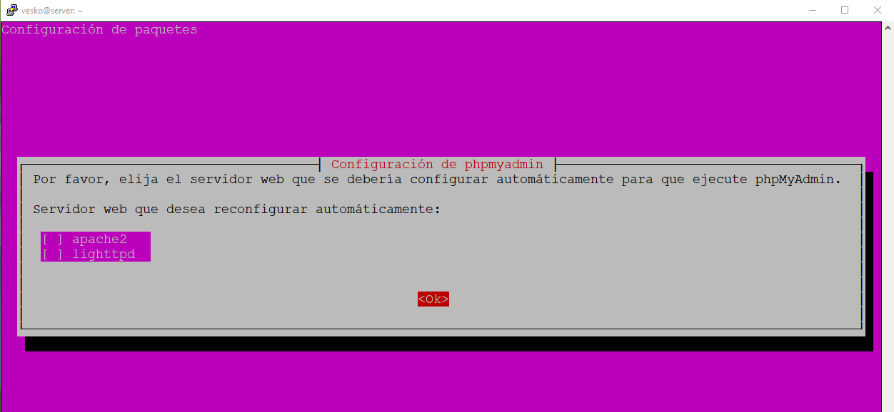 Como instalar MariaDB en Ubuntu 24.04 server y configurar phpMyAdmin